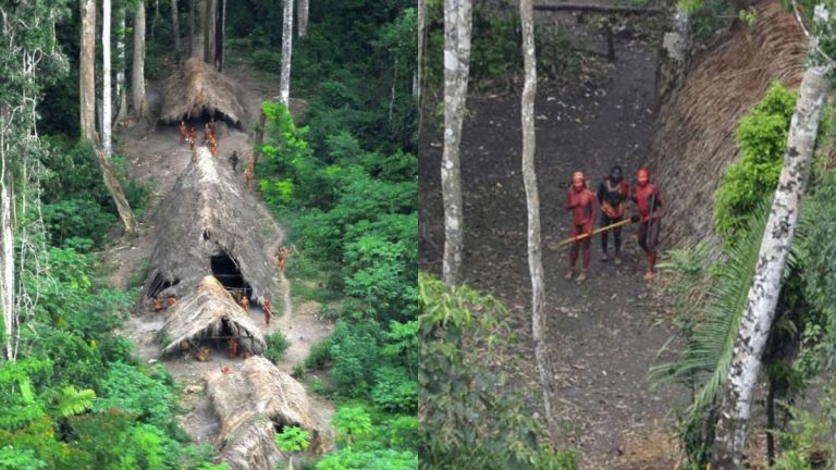 Drone Captures Rare Footage of the World’s Most Isolated Tribes With No ...